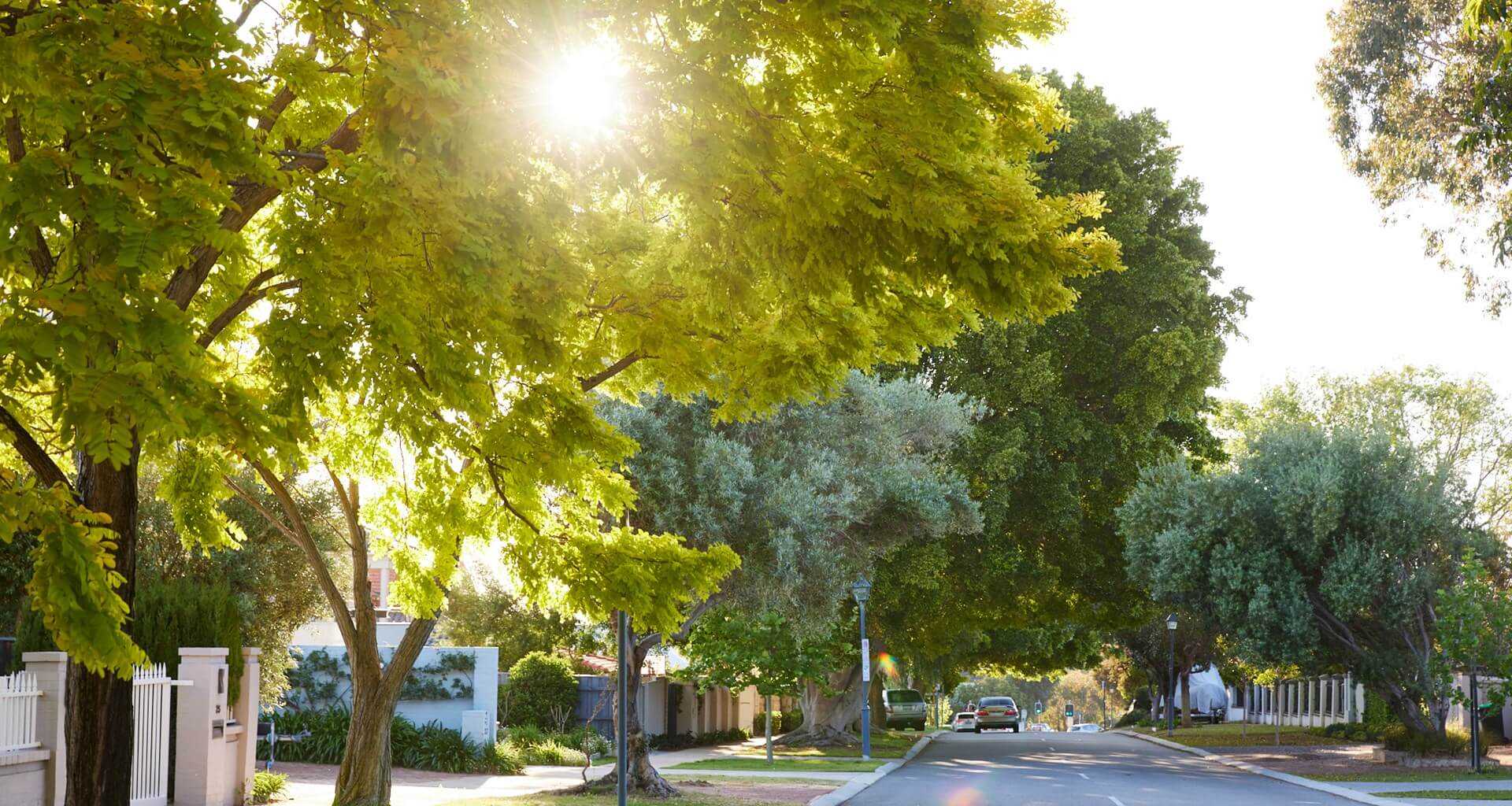 Welcome to the Town of Claremont